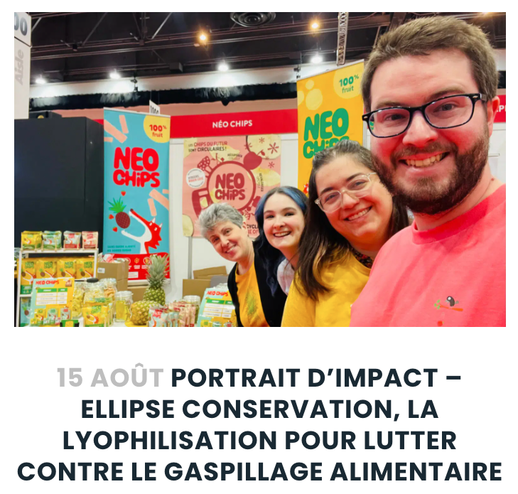 Néo Chips - Chips de fruits sans additifs, gluten ni huile